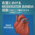 右室における Moderator Band の役割とは？ | Study and Life Log